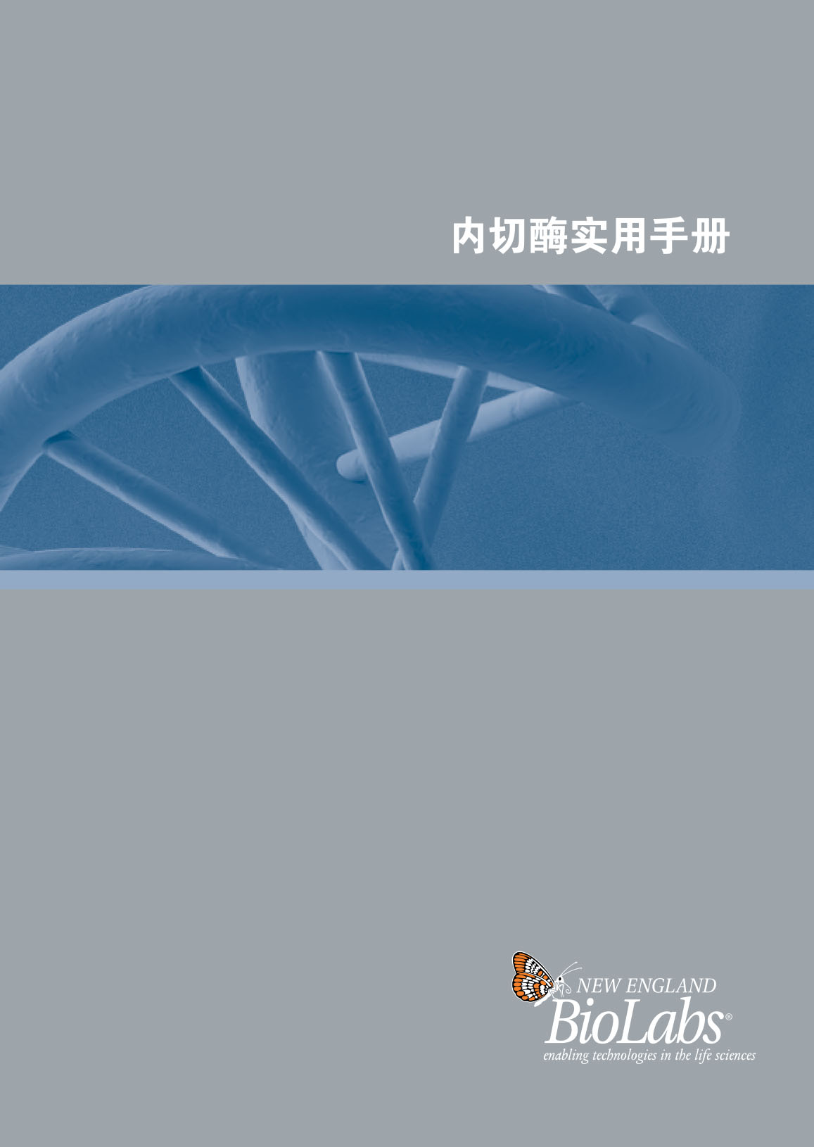 内切酶实用手册