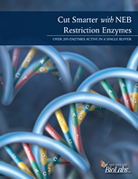 catalog-and-literature-request | NEB